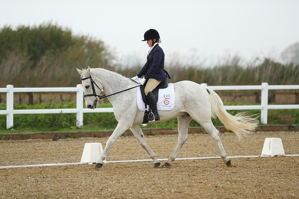 Thornton College | More Equestrian Team Success | Private School Bucks ...